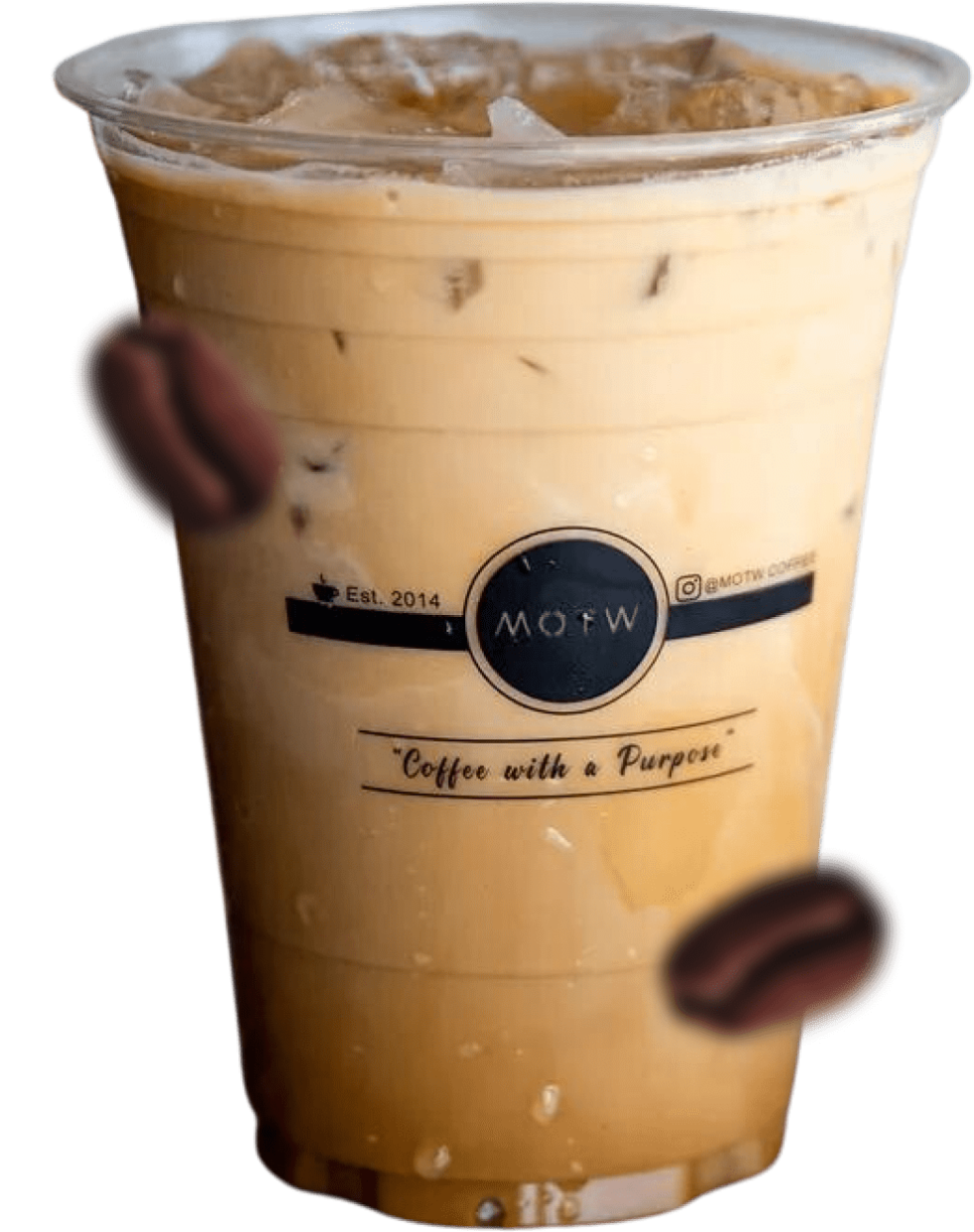 MOTW Coffee & Pastries | Specialty Coffee & Arabic Pastries